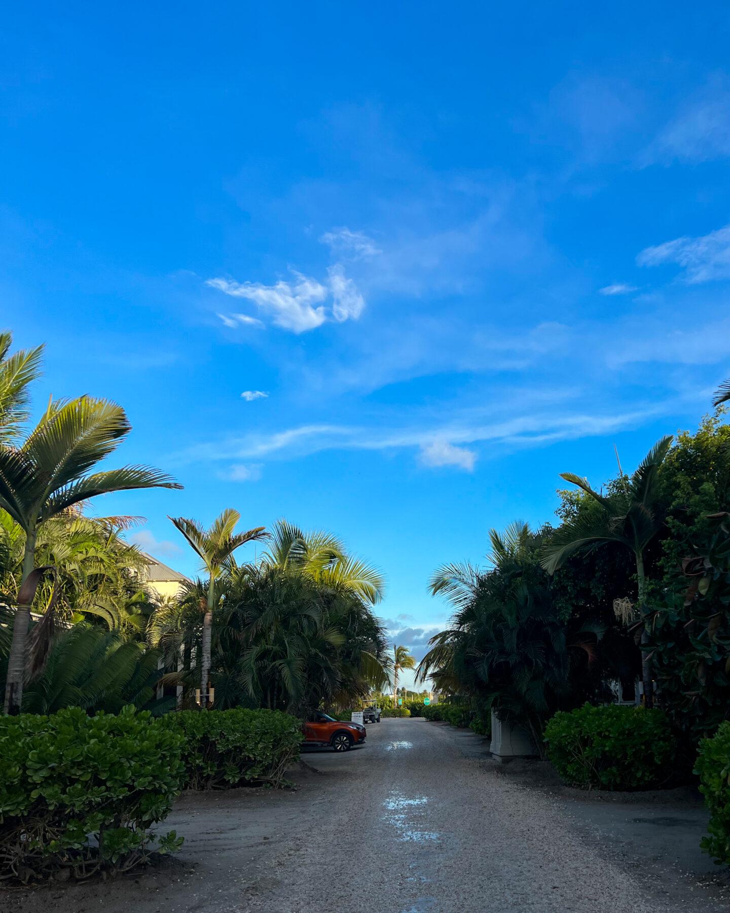 MAHOGANY BAY RESORT & BEACH CLUB BY HILTON | SAN PEDRO, BELIZE - Anna's ...